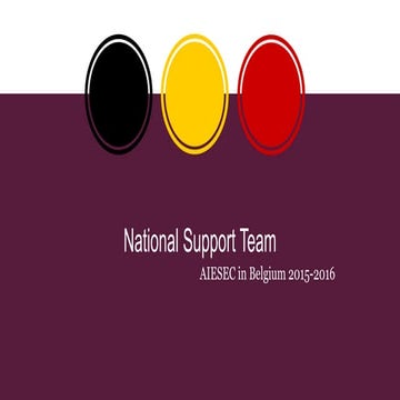 National Support Team AIESEC in Belgium 15.16