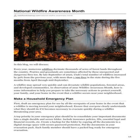 Prepare For and Survive a WILDFIRE | PPTX