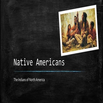 Native american 7 | POT