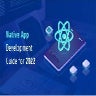 Native App Development Guide for 2022.pptx