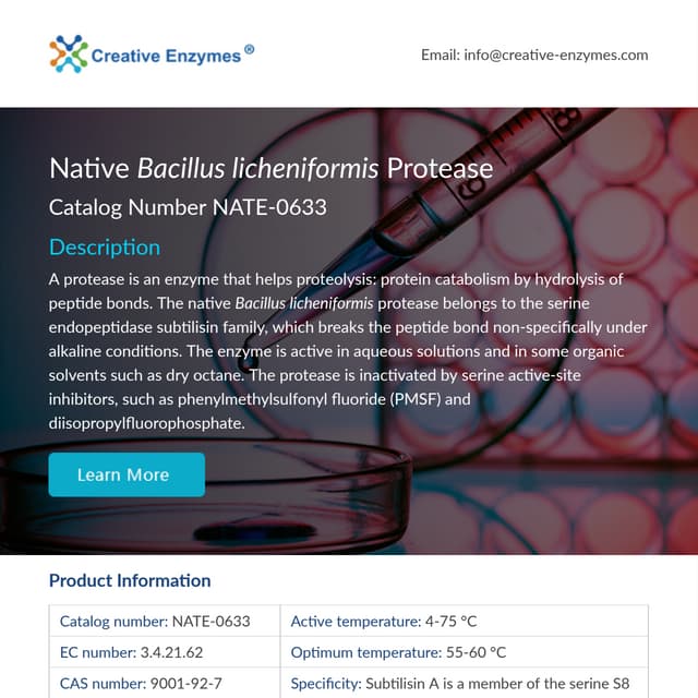 Native Bacillus Licheniformis Protease At Creative Enzymes Pdf
