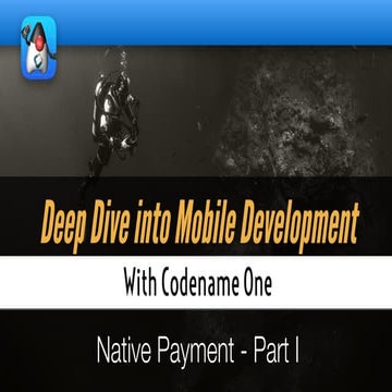 Native Payment - Part 1.pdf