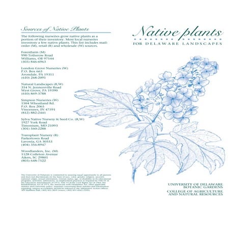 Perfect Perennials - Notes | PDF