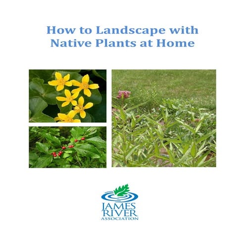 How to Landscape with Native Plants at Home - James River Association ...