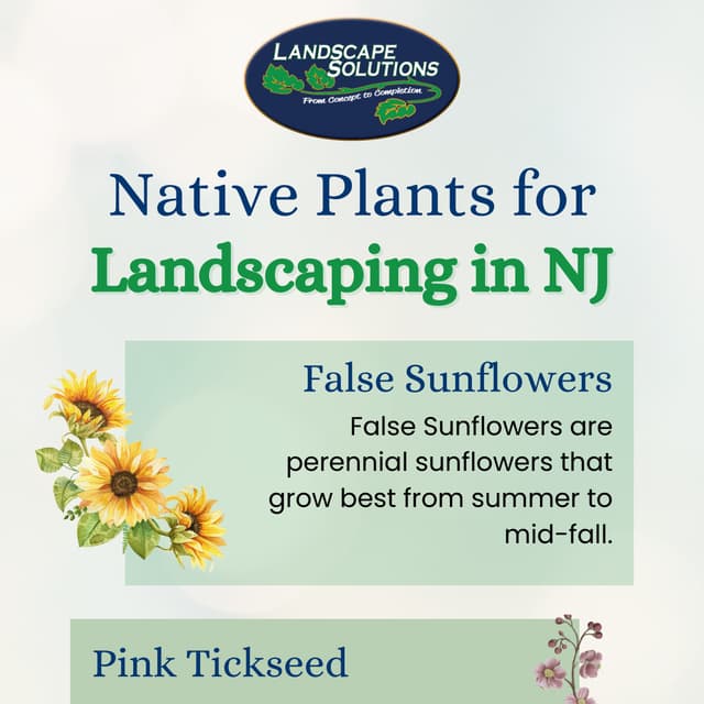 Native plants for landscaping in New Jersey | PDF