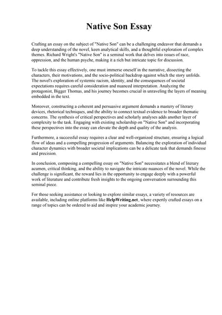 Native Son Essays.pdf