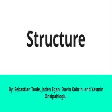Native Son Structure and full frontal lobe analysis | PPTX
