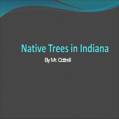 Native Trees In Indiana | PPT