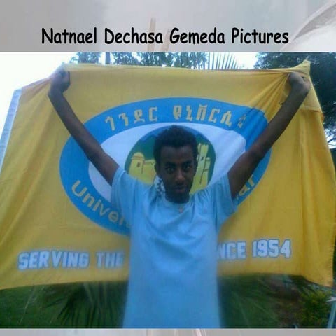 NRFHRP [ Natnael Dechasa ] PPT.pdf