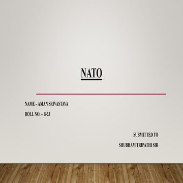 NATO PPT.pptx