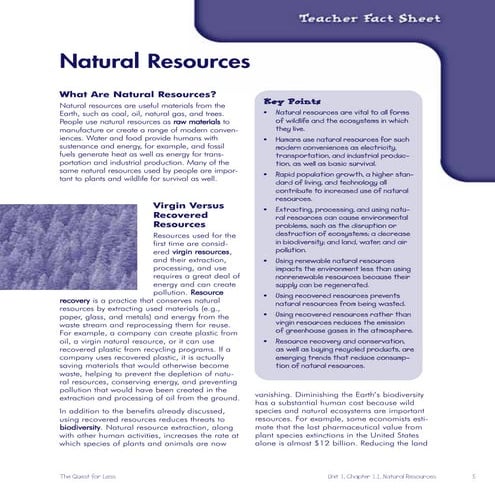 Natures-Treasures.pdf/6th science curiosity/samyans academy | PDF