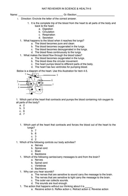 COT Lesson Plan in Science 6 Q2 W6 .docx | Biological Sciences | Science