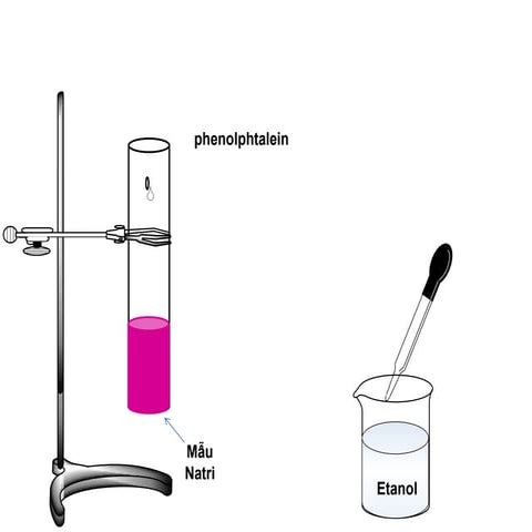 Natri tác dụng etanol | PPTX