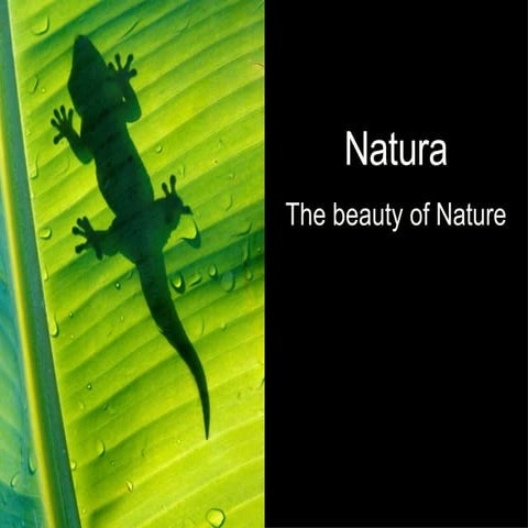 Natura | PPT