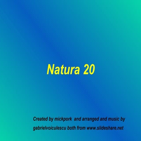 Natura 19 | PPS