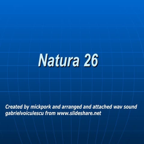 Natura 26 | PPT