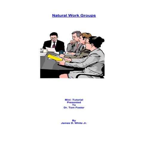 Natural Work Groups | PDF