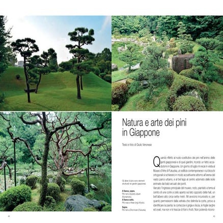 Natura e arte dei pini in Giappone | PDF