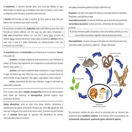 Fisiologia vegetal | ODP