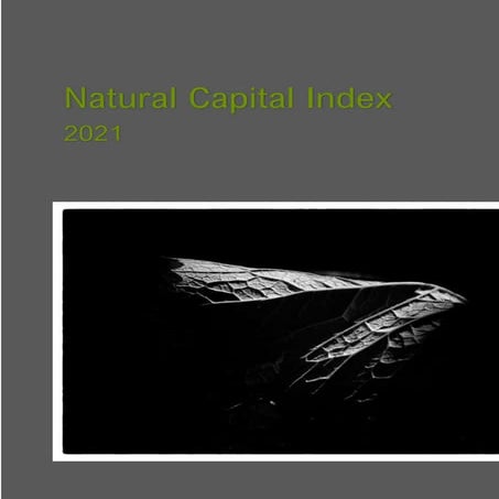 Natural Capital Index 2021 | PDF