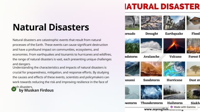 DISASTER READINESS AND RISK REDUCTION PPT | PPTX
