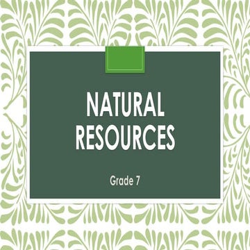 Natural-Resources-powerpoint-MS.-NOWRY.pdf