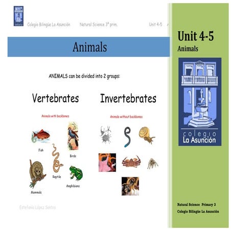 Vertebrate animals part 1 | PPTX