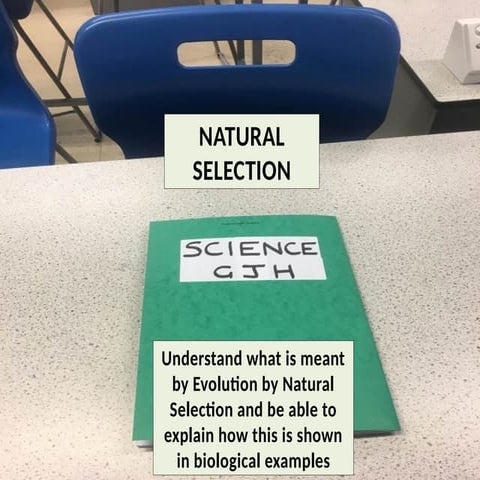 Natural-selection.pptx Charles Darwin studied the work of other ...