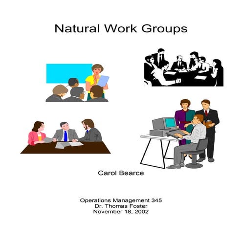 Natural Work Groups | PDF