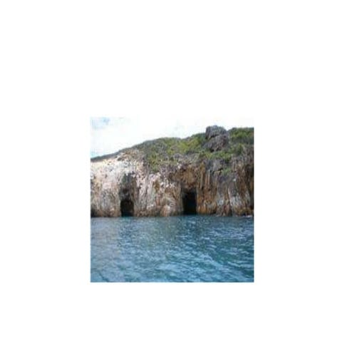 Natural and Built environments | PPTX