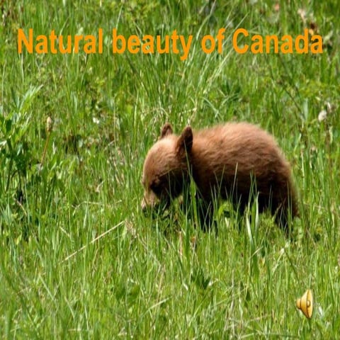 Natural beauty of canada | PPS