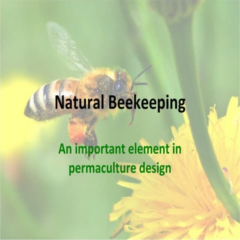 Natural beekeeping | PPT