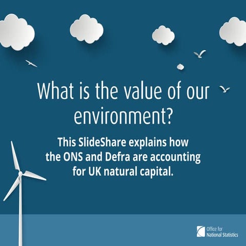 What is the value of our environment? | PPT