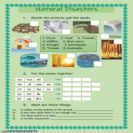natural disaster.pdf | Disasters