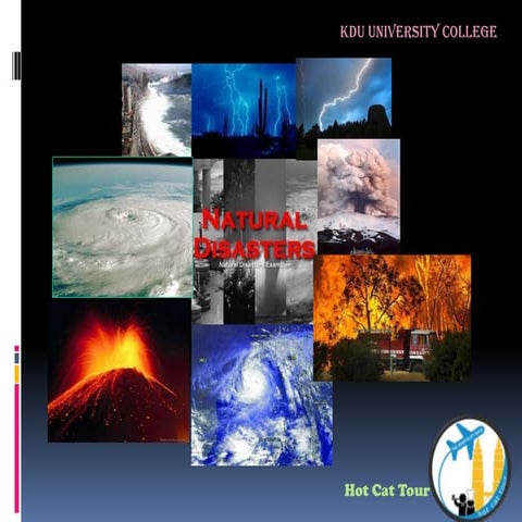 Environmental Issues Of Japan | PDF