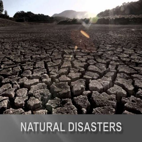 Daniela's Diary | DOCX