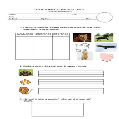 UNIT 5 ANIMALS VOCABULARY | DOC