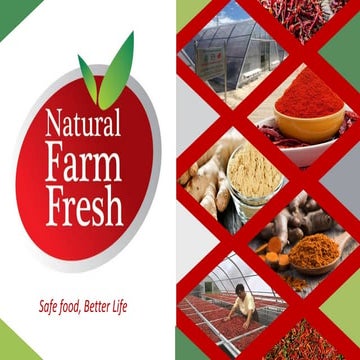 Natural farm fresh myanmar co., ltd. jan, 2019 | PDF