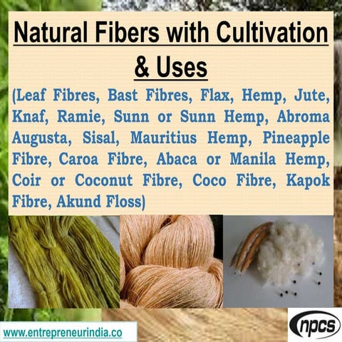 Natural Fibers with Cultivation & Uses | PPTX