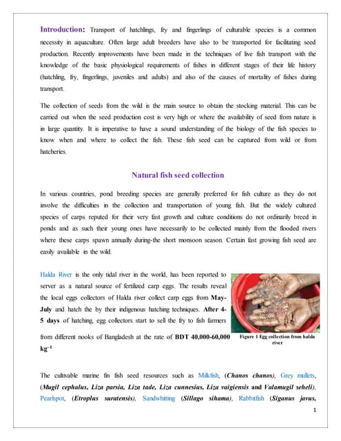 Culture Methods of Mussels | PPTX