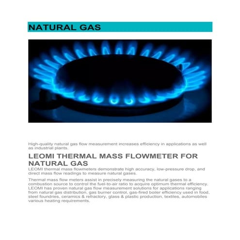 NATURAL GAS.pdf