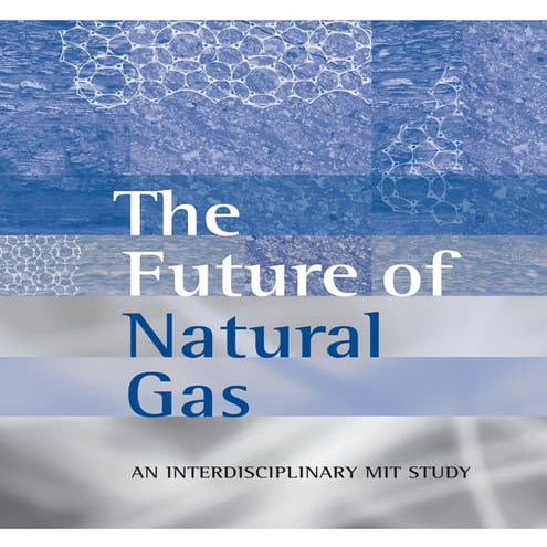 MIT Study: The Future of Natural Gas | PDF