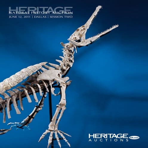Natual History Dinosaurs & Rare Minerals Auction 6071, Heritage ...