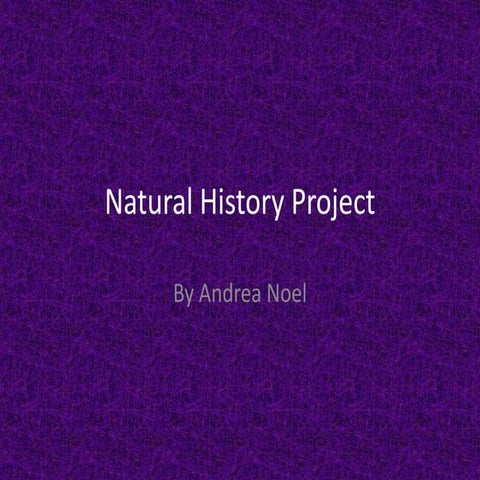 Natural history project | PPTX | Cats | Pets