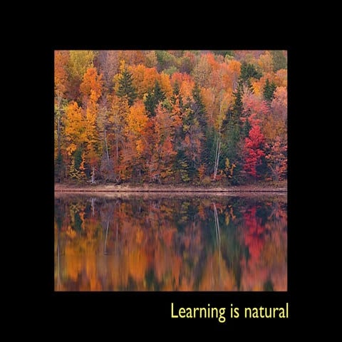 Natural Informal Learning | PDF