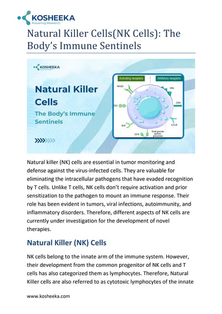 Natural killer cells | PPTX
