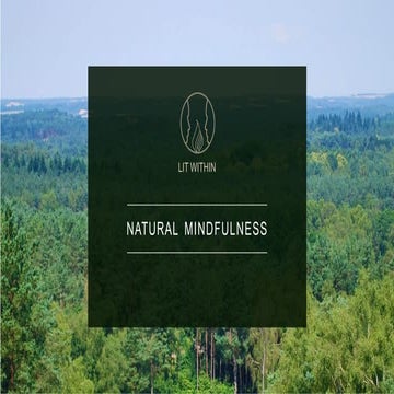 Natural mindfulness HX - by Lit Within | PPT