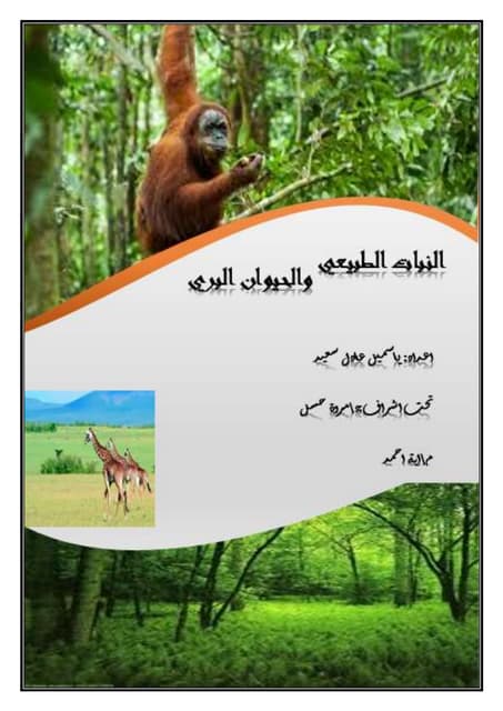 درس توضيحي عن أجزاء النباتات ووظائفها - Copie.pptx