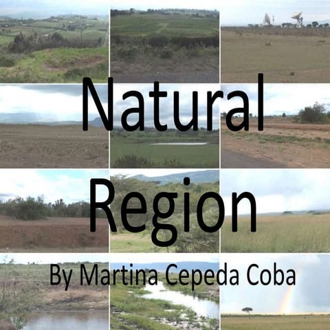 Macroforms de Chile zona norte centro sur y austral en ingles.pptx