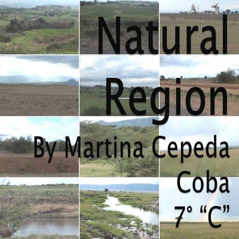 Macroforms de Chile zona norte centro sur y austral en ingles.pptx